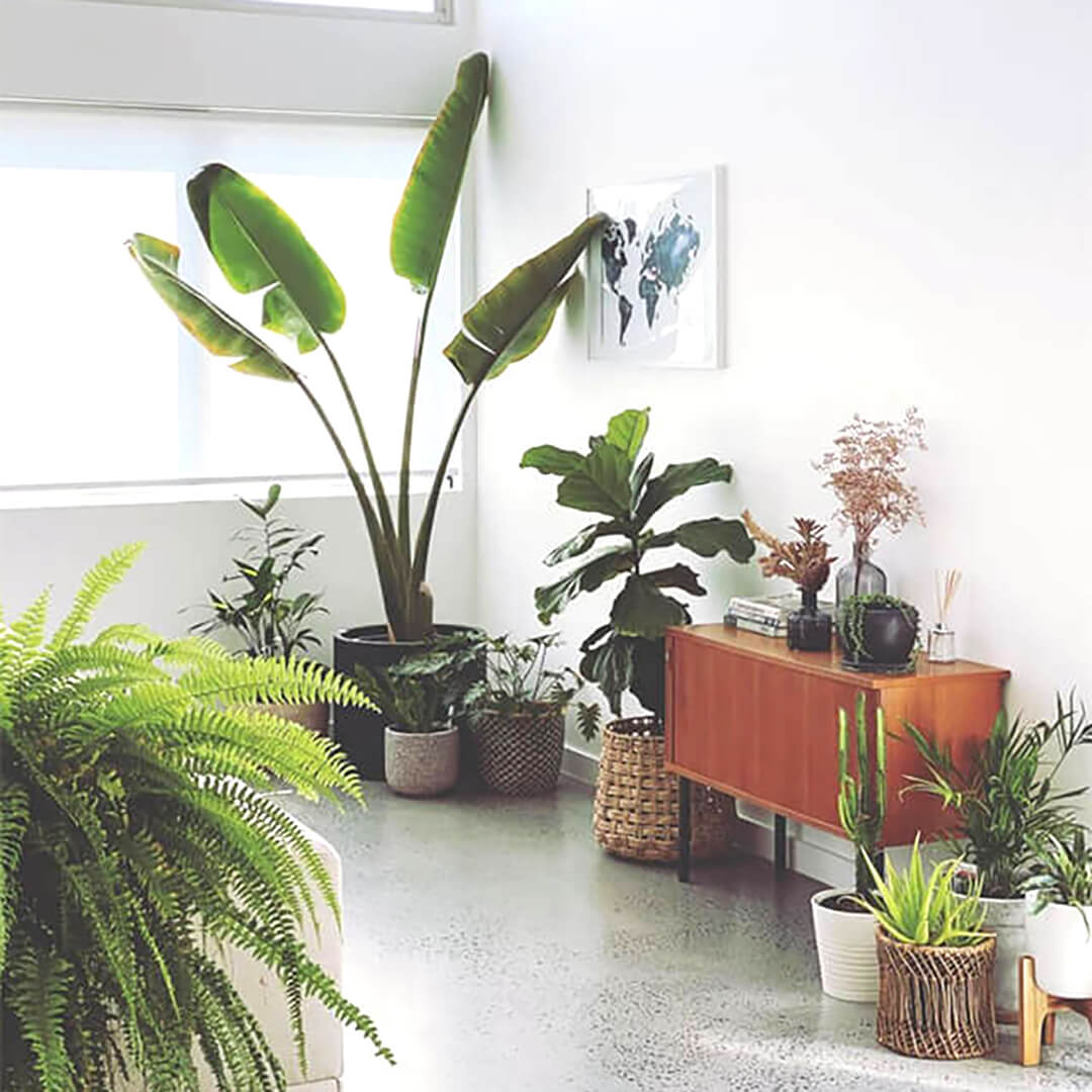 Incorporating nature into your sustainable home - Lou Projects